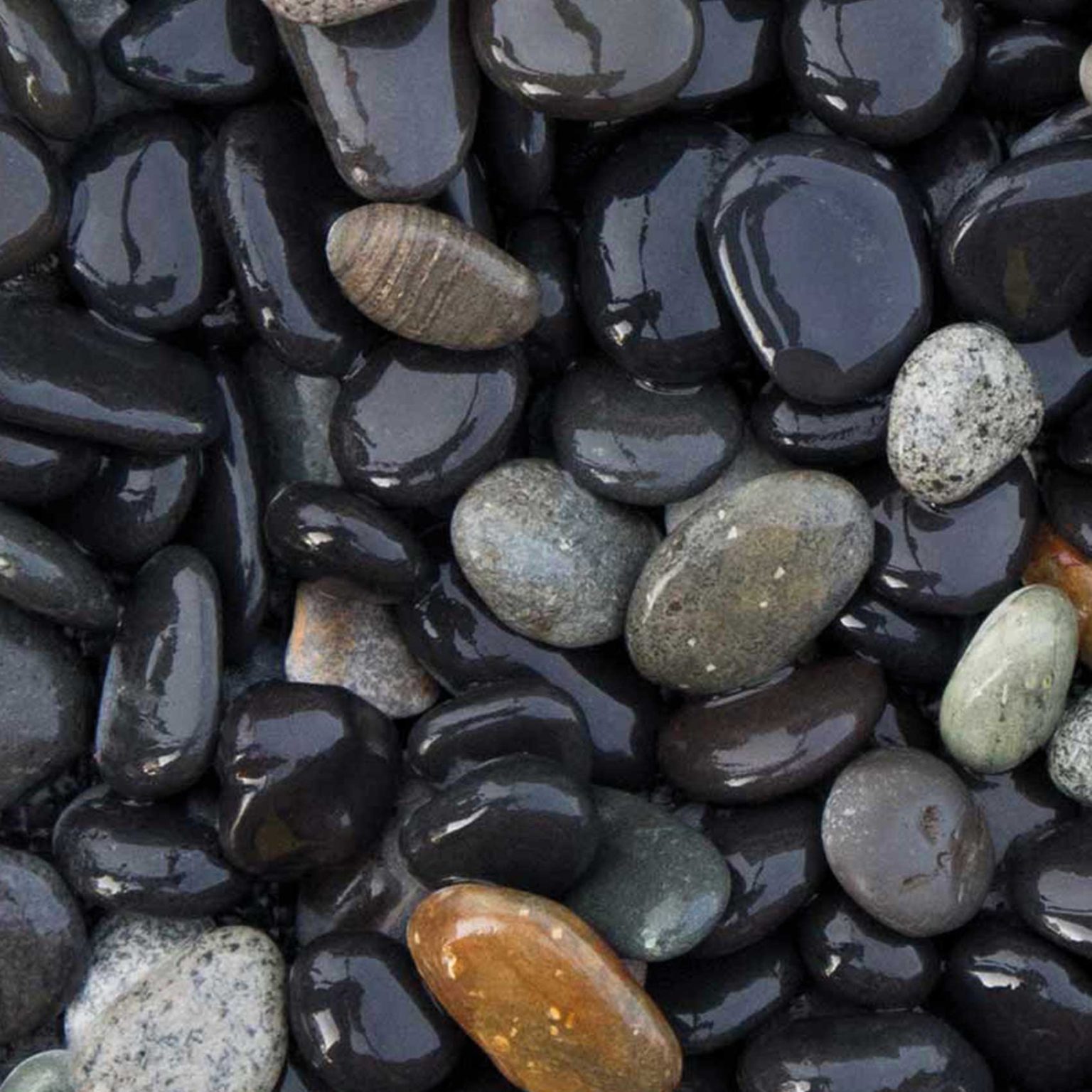 Beach Pebbles grind - online kopen bij Steenvoordeel