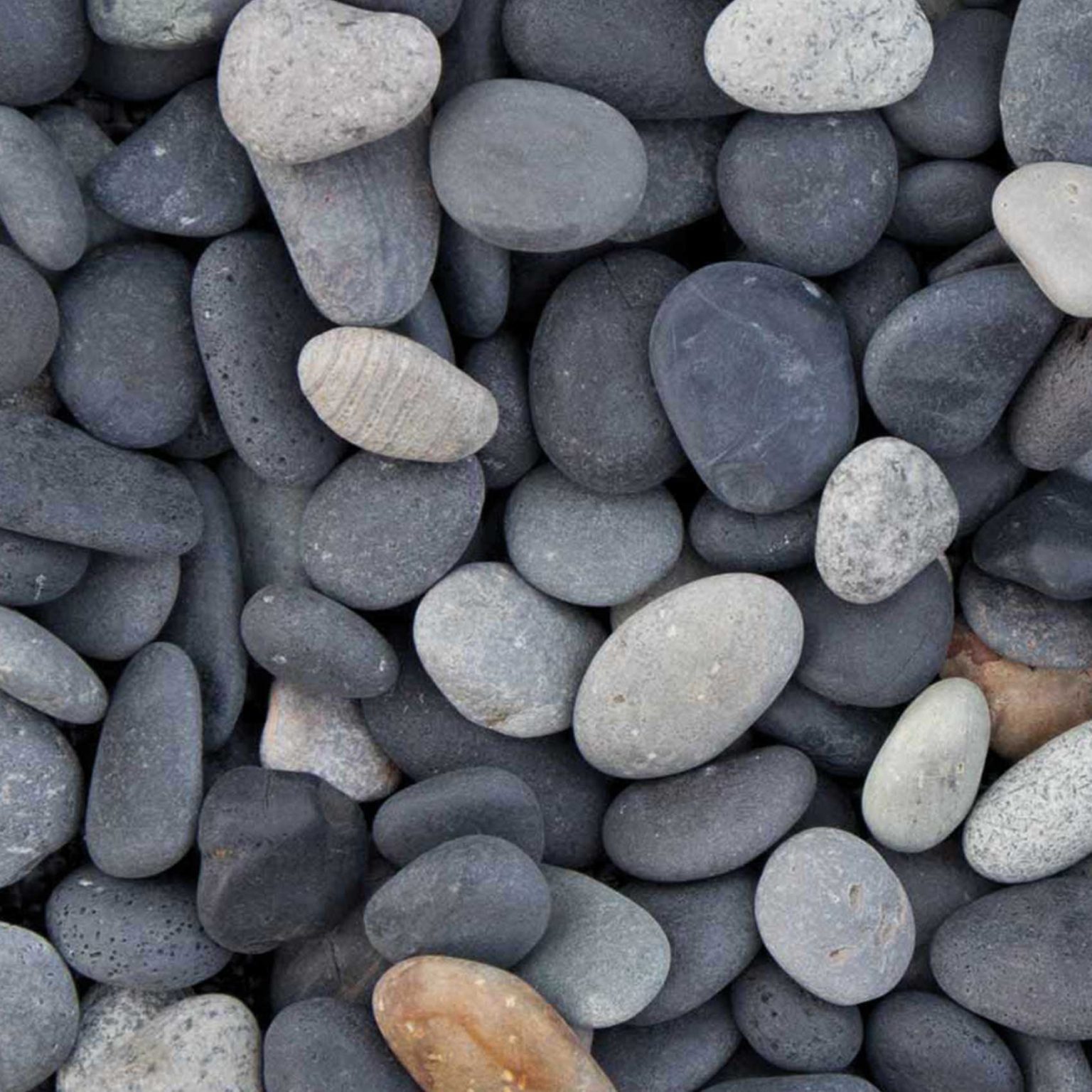 Beach Pebbles grind - online kopen bij Steenvoordeel